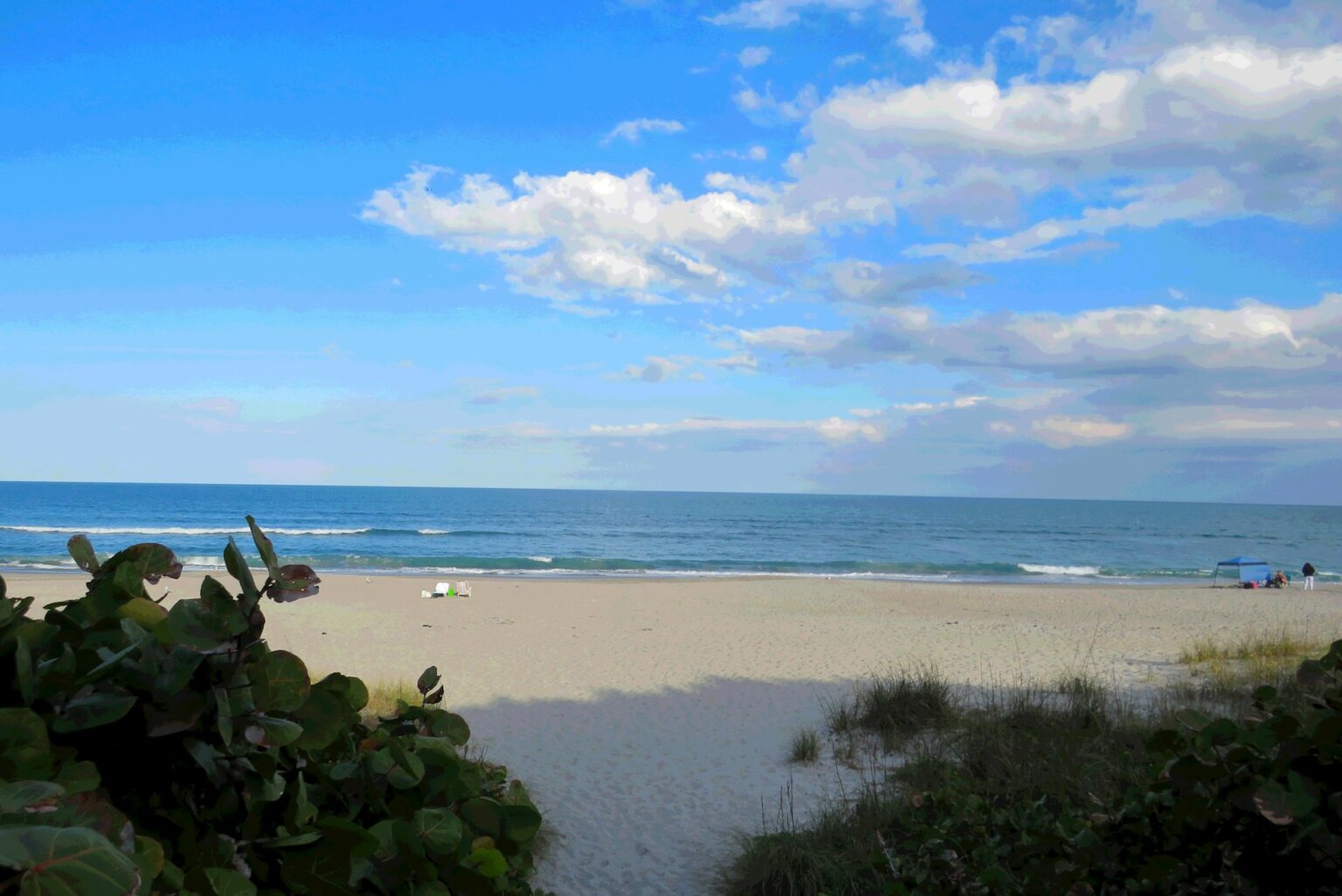 The Ultimate Guide for Your First Visit to Melbourne Beach - Happy Palm ...